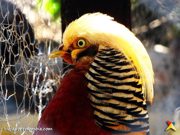 Parque Nacional del Chicamocha - PANACHI - Qué hacer y lugares para conocer