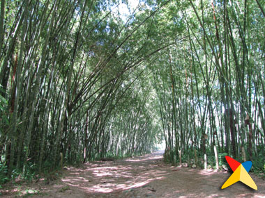 Caicedonia, la Centinela del Valle - Qué hacer y lugares para conocer