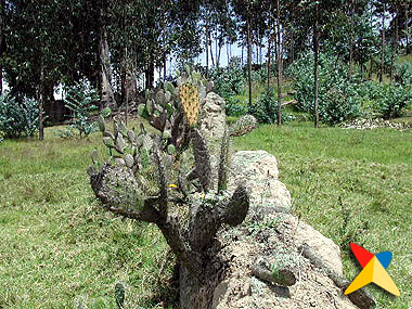 Paipa - Qué hacer y lugares para conocer