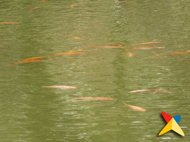 Caicedonia, la Centinela del Valle - Qué hacer y lugares para conocer